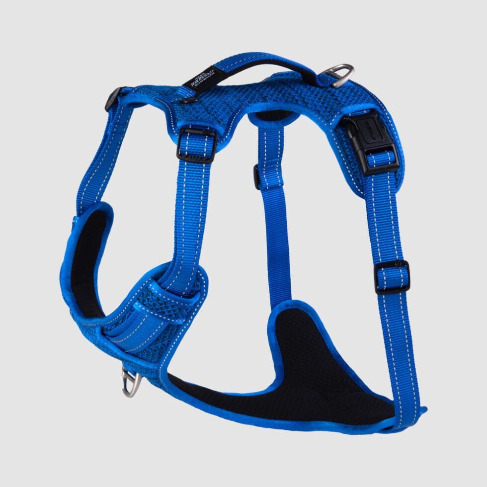 ROGZ Utility Explore Harness | ROGZ UK