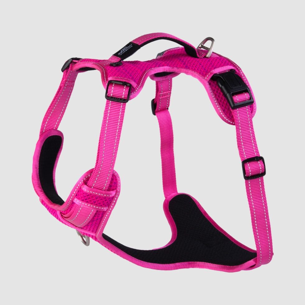 ROGZ Utility Explore Harness | ROGZ UK