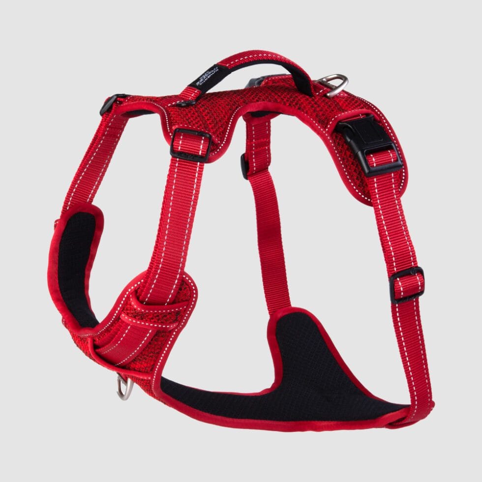 ROGZ Utility Explore Harness | ROGZ UK