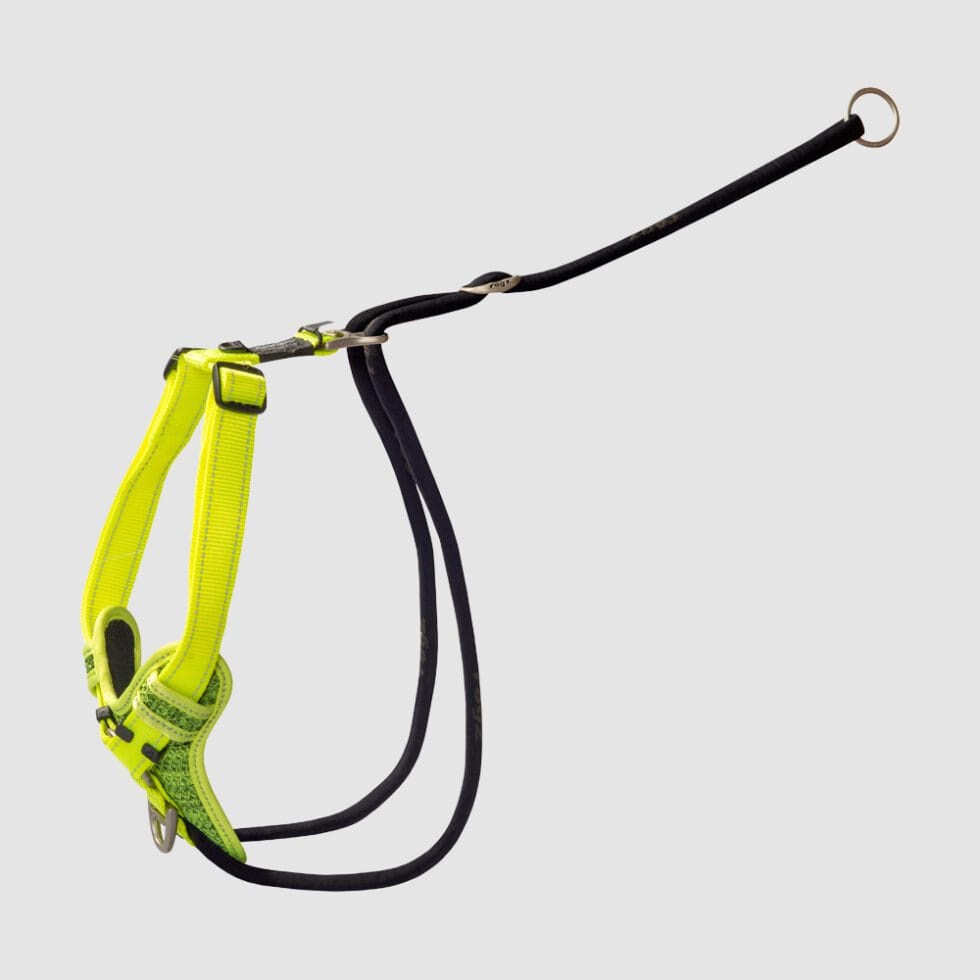 ROGZ Utility Stop Pull Harness | ROGZ UK