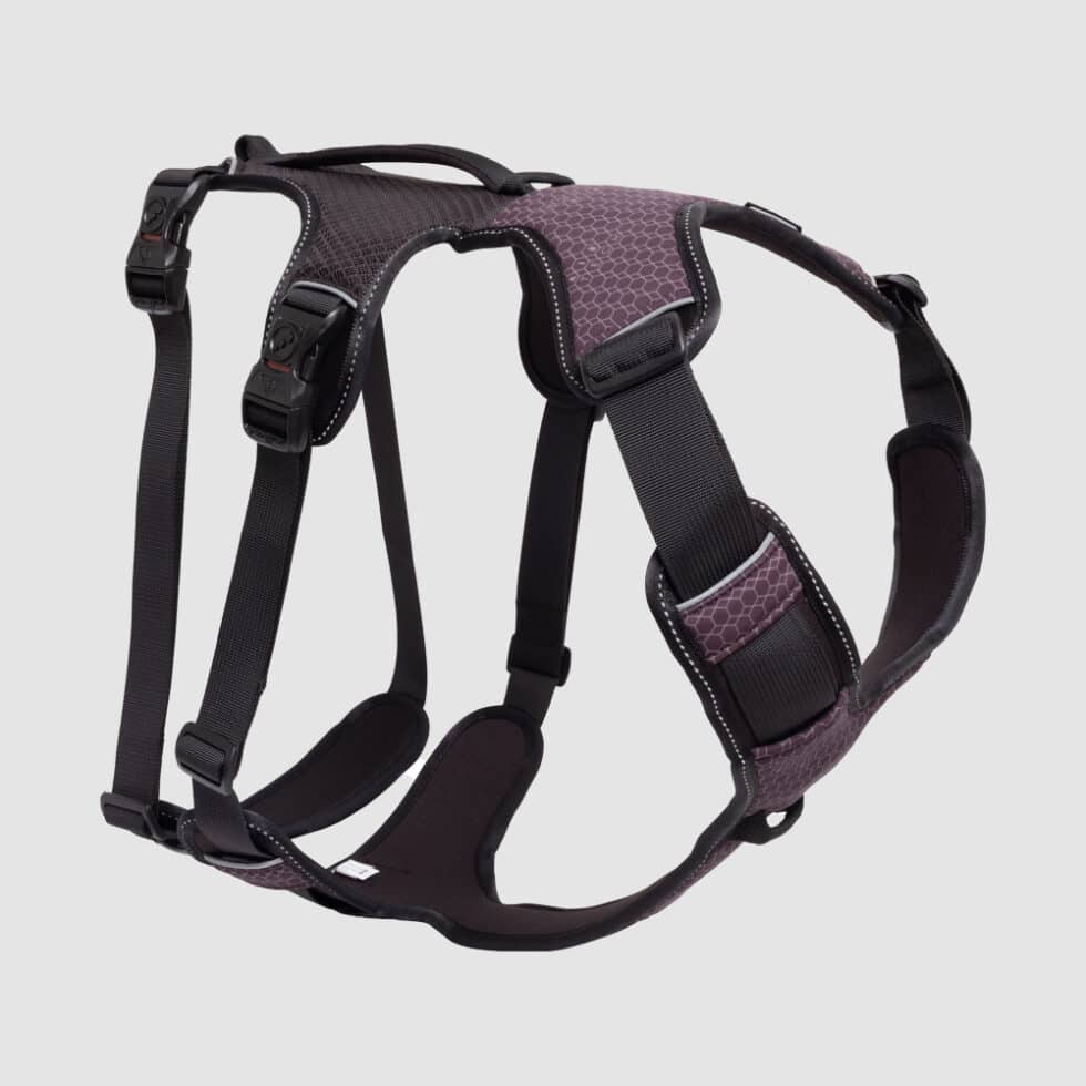 ROGZ AirTech Adventure Harness | ROGZ UK